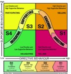 Situational Leadership Development Levels (ICEBREAKER) – Teaching Them
